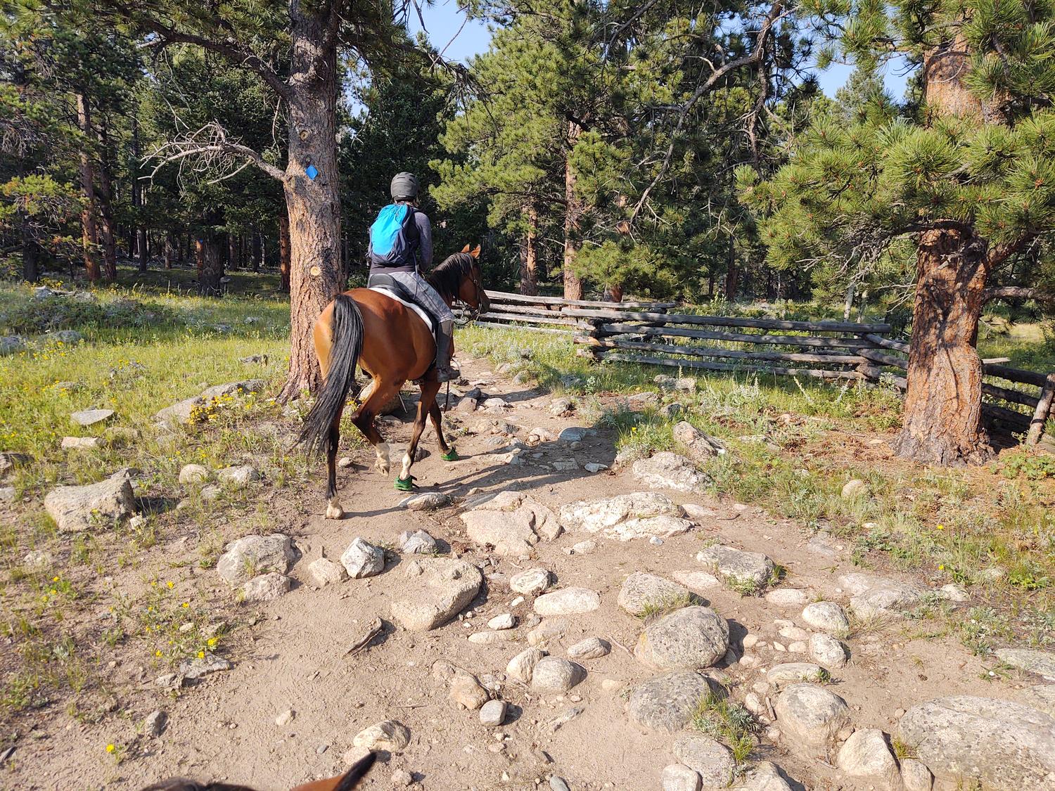 Caribou Trail | Top Horse Trails