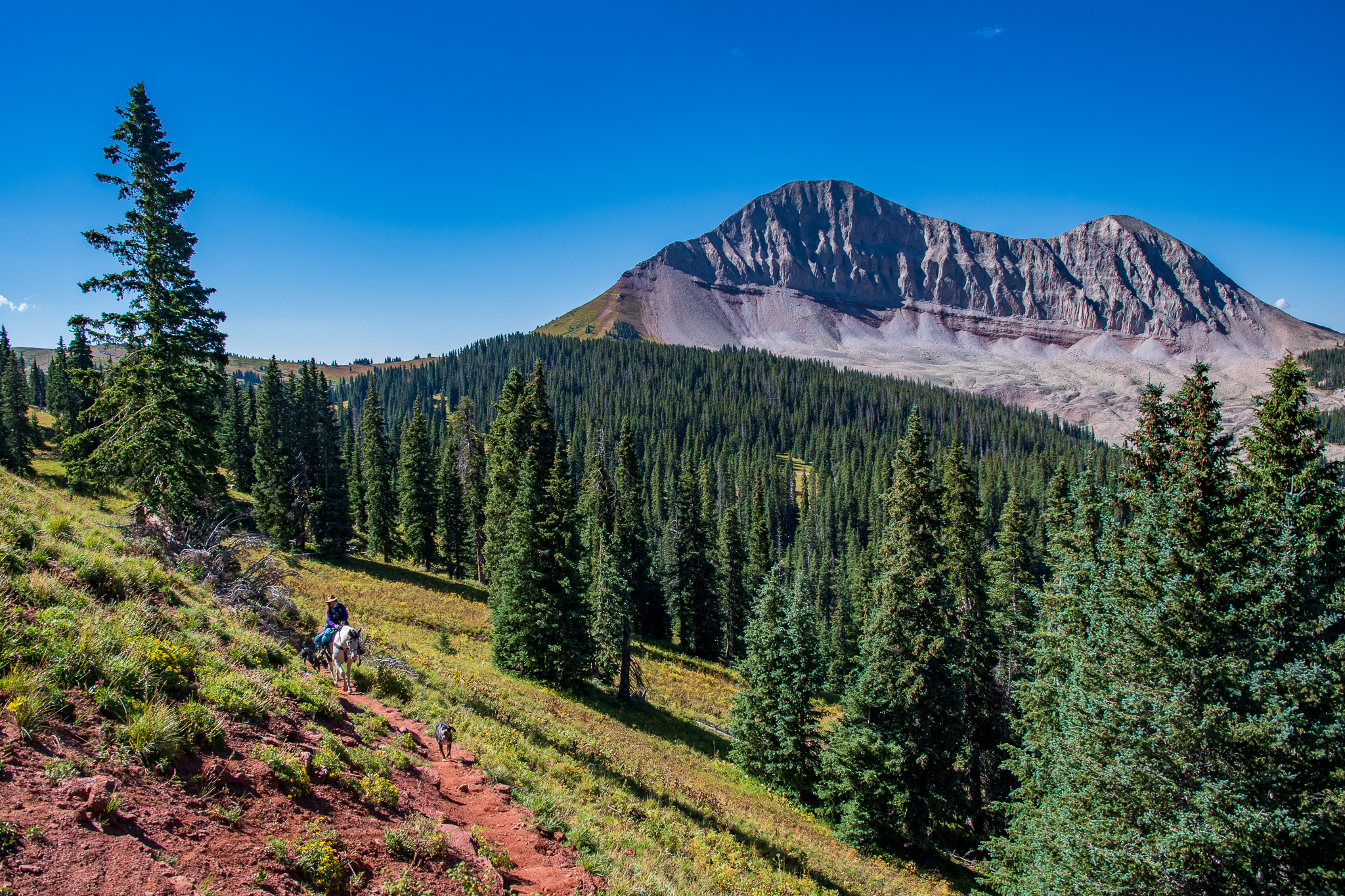 Engineer Mountain Trail | Top Horse Trails