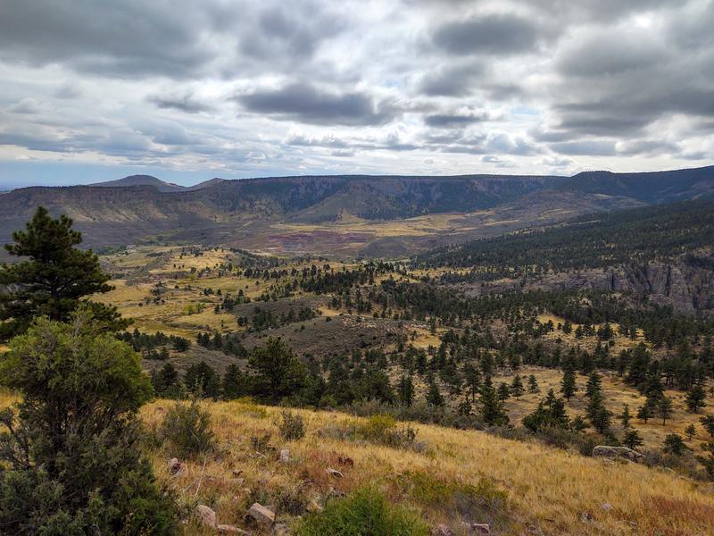 Hall Ranch Bitterbrush and Nelson Loop Trail | Top Horse Trails