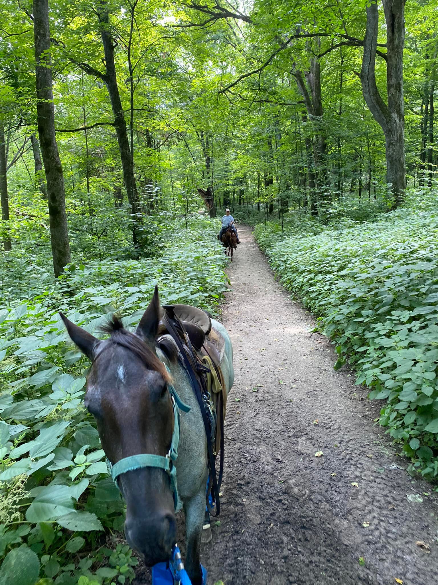 Sugar Camp Hollow and Big Spring Trail | Top Horse Trails